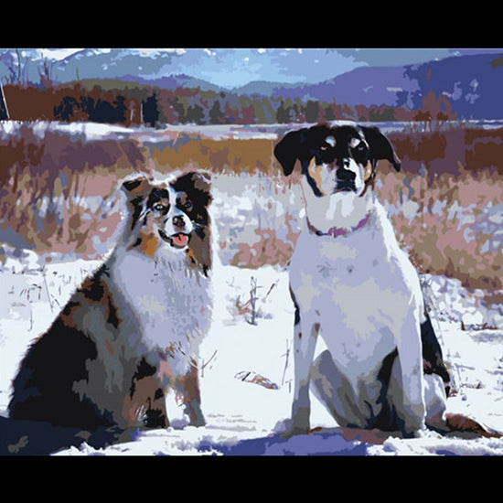 Custom Paint By Numbers kits - Bring your favorite memory to life ...